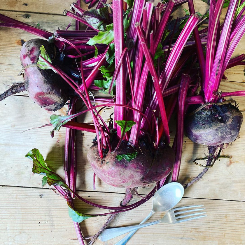 Organic British Pasta - Cornwall Pasta Company